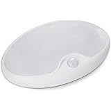 Amazon.com: Dream lighting 12V LED Utility Light Fixture Ceiling Double ...