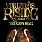 The Grey King (The Dark Is Rising): Amazon.co.uk: Cooper, Susan: Books