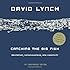 Amazon.com: Catching the Big Fish: Meditation, Consciousness, and ...