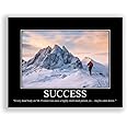 Amazon.com: Success Demotivational Poster Snarky Ironic Funny Sarcastic ...