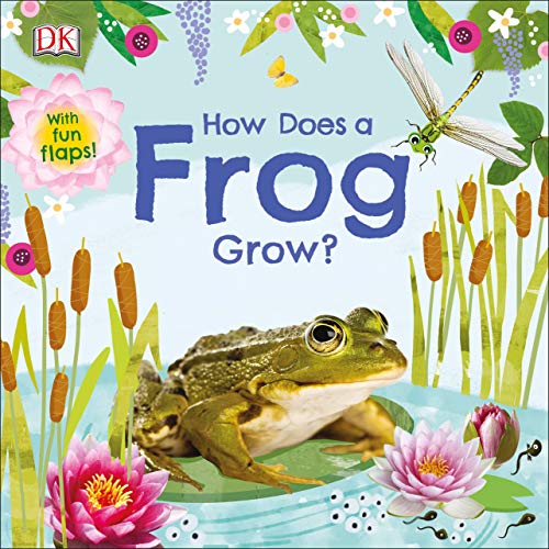 Buy How Does A Frog Grow Life Cycle Board Books Board Book Lift 