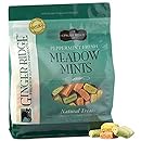 Amazon.com : Ginger Ridge Meadow Mints Horse Treats - Peppermint Fresh ...