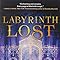 Amazon.com: Labyrinth Lost (Brooklyn Brujas) (0760789253713): Zoraida ...