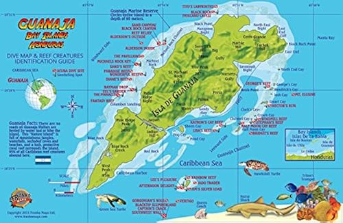 Guanaja Bay Islands Honduras Dive Map & Coral Reef Creatures Guide ...
