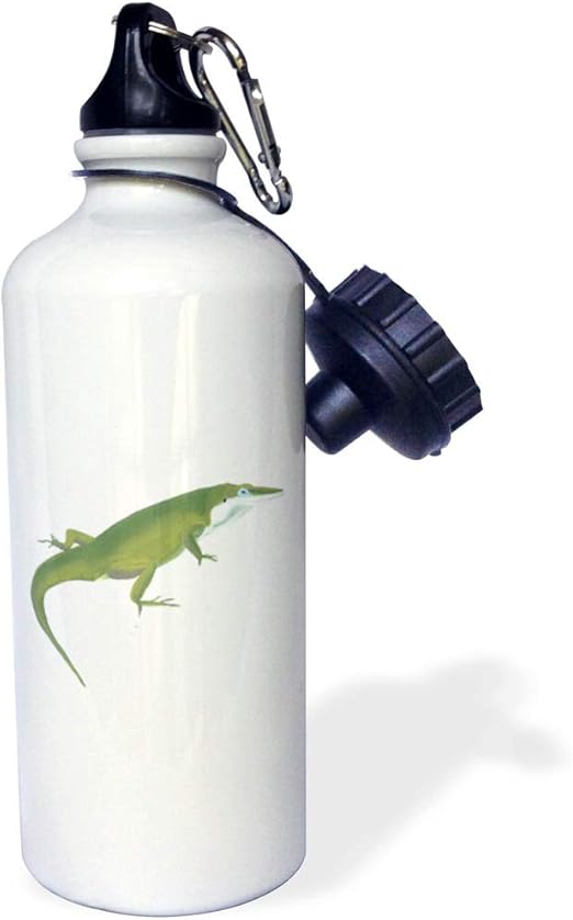 Amazon.com: 3dRose Painting of a Crawling Green Lizard - Straw Water ...