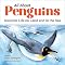 All About Penguins: Discover Life on Land and in the Sea: deNapoli ...