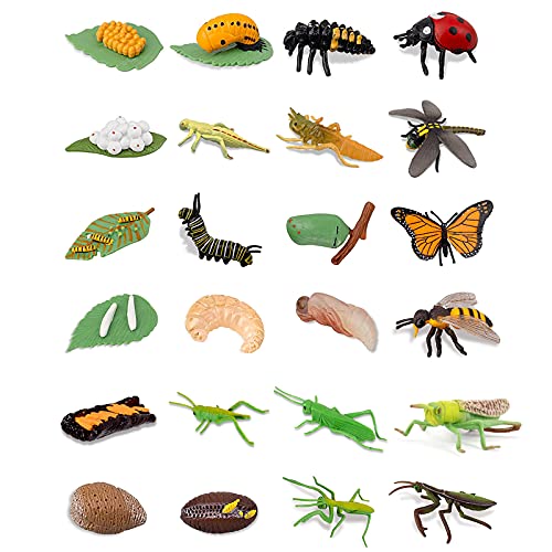 24PCS Life Cycle Figures,Insect Figurines Life Cycle of Monarch ...