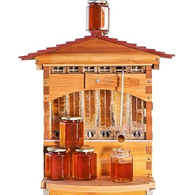 Flow Hive Classic Cedar 6 Frame - Langstroth Style Philippines | Ubuy