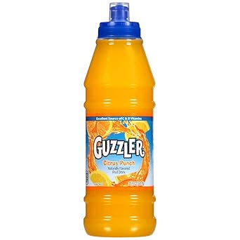Amazon.com : Guzzler Citrus Punch Naturally Flavored Fruit Drink, 20 ...