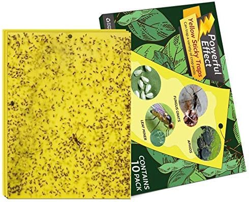 Kensizer 10-Pack Dual-Sided Yellow Sticky Traps for Flying Plant Insect Like Fungus Gnats ...
