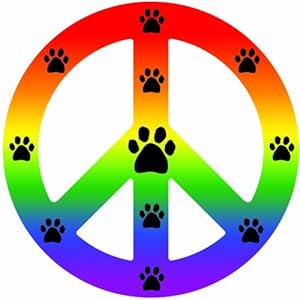 Amazon.com: Imagine This Peace Car Magnet Sign, Rainbow, 41/2-Inch by 4 ...