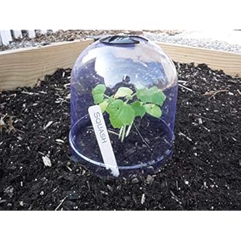 Amazon.com : 6-Pack! GrowAway Small Reusable Plastic Mini Greenhouse ...