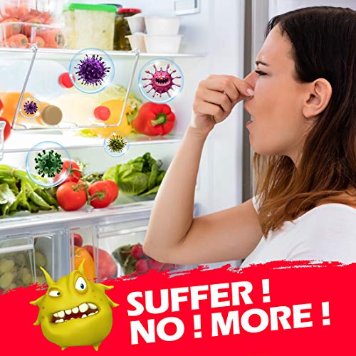 Fridge Deodorizer (2-Pack) With 2 Extra Refillers - Fridge and Freezer ...