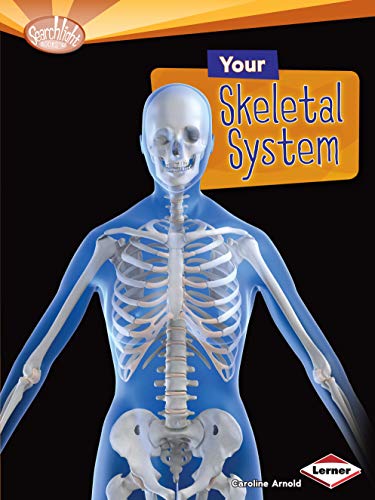 Your Skeletal System (Searchlight Books ™ ― How Does Your Body Work ...