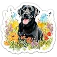 Amazon.com: Black Labrador Sticker - 3" Laptop Sticker - Waterproof ...