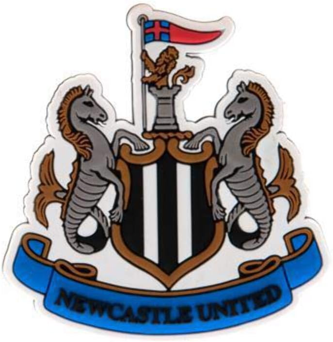 Newcastle Crest Magnet – Multi-Colour – BigaMart