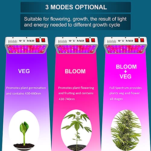 TOAD LED Grow Lights 600W, Dual Switch Full Spectrum Plant Grow Lamp ...