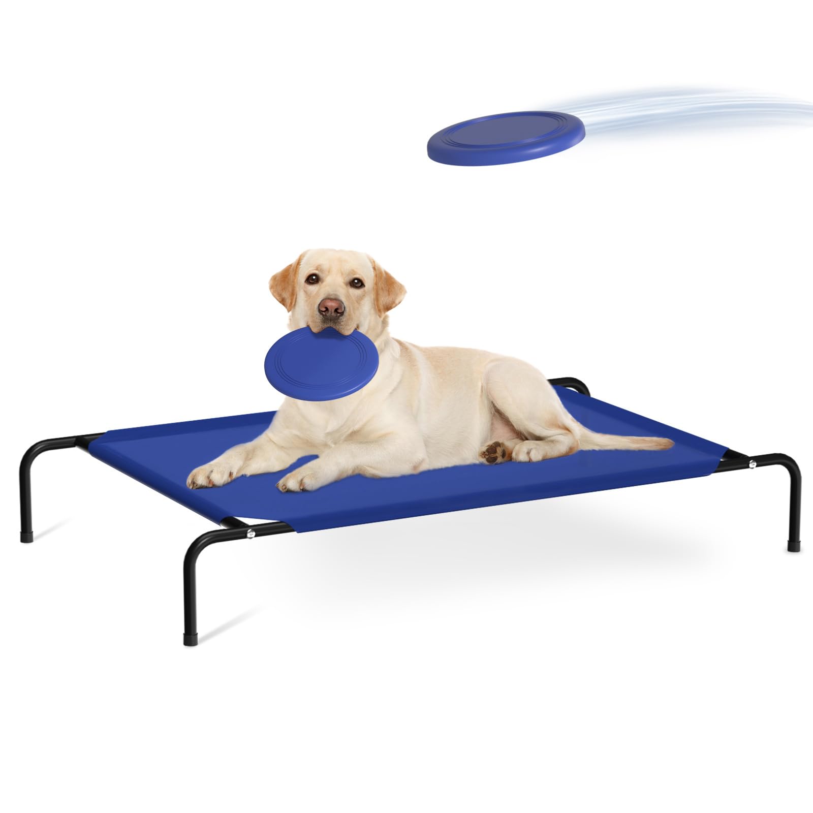 TalingMA Elevated Dog Bed,Extra Large Raised Dog Bed with Dog Flying ...