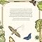 Girl Who Drew Butterflies, The: Amazon.co.uk: Joyce Sidman: Books