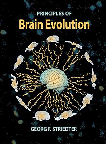 Principles of Brain Evolution: 9780878938209: Medicine & Health Science ...