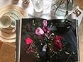 Foraged Flora: A Year of Gathering and Arranging Wild Plants and ...