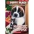 The Puppy Place Set, Books 1-16: Goldie, Snowball, Shadow, Rascal ...