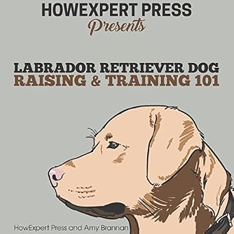 Amazon.com: Labrador Retriever Dog Raising & Training 101 (Audible ...