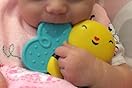 Amazon.com : Fisher-Price Honey Bee Teether : Baby