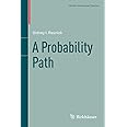 Amazon.com: A Probability Path (Modern Birkhäuser Classics ...