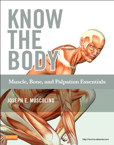 Know the Body: Muscle, Bone, and Palpation Essentials: 9780323086844 ...