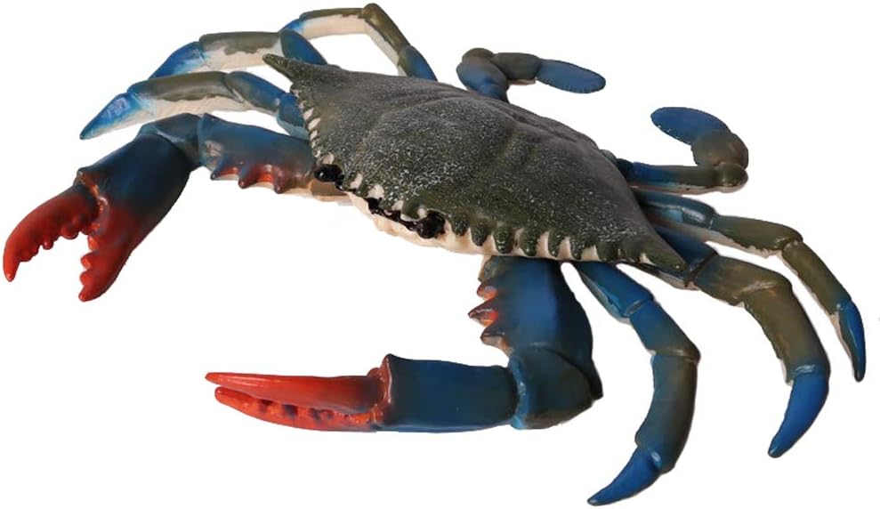 Amazon.com: HOMNIVE Crab Toys Realistic Crab Figures Early Educational ...