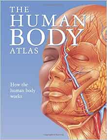 The Human Body Atlas: How the Human Body Works: Global Book Publishing ...