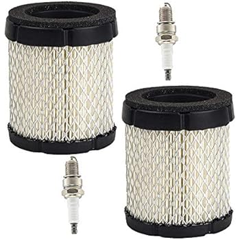 Amazon.com : 140-3280 Air Filter + Spark Plug for Onan Microlite ...