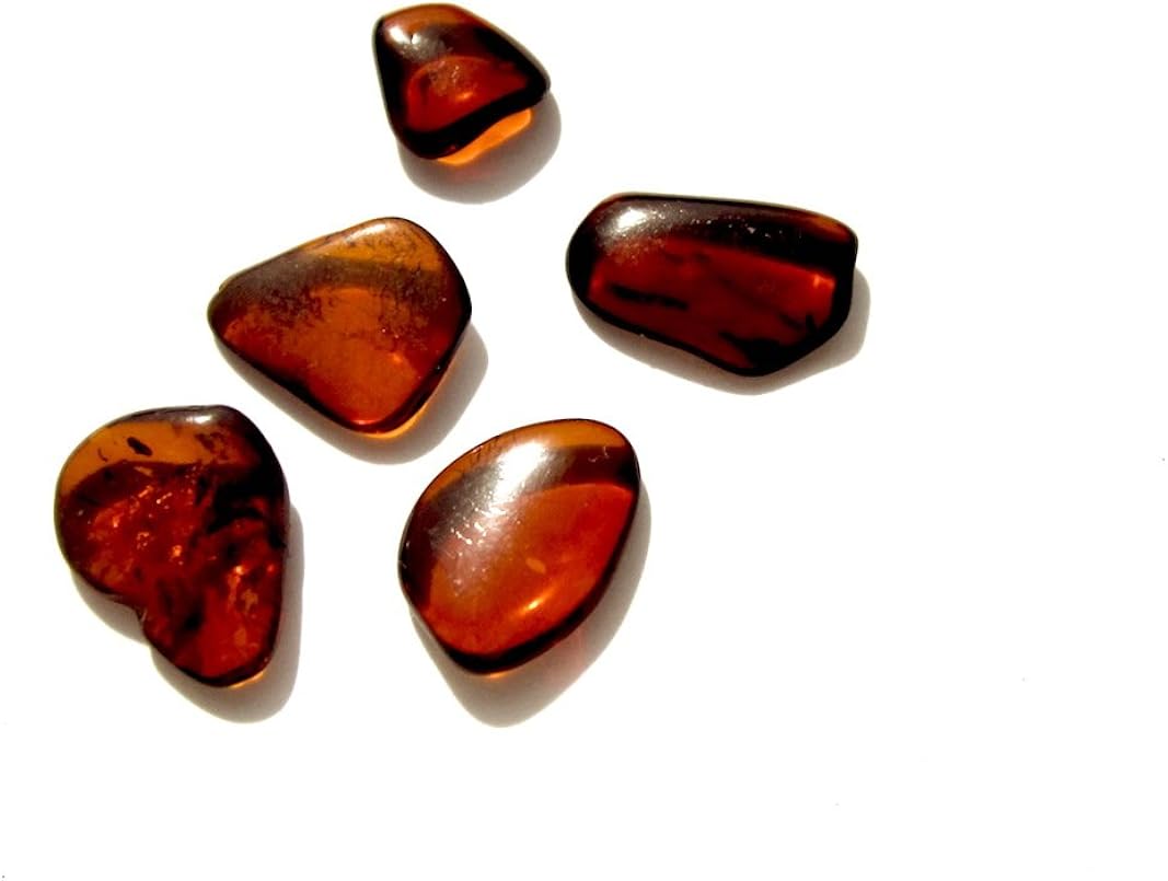 Raw Dark Amber Flat Gemstones Set of 5 Stones – BigaMart