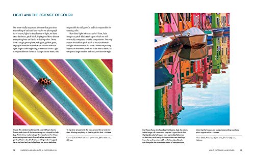 Understanding Color in Photography: Using Color, Composition, and Exposure to Create Vivid ...