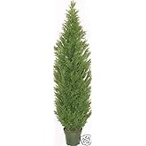 Amazon.com - Silk Tree Warehouse Six 6 Foot Artificial Cedar Topiary ...