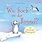 Wie hoch ist der Himmel? : Milbourne, Anna, Riglietti, Serena: Amazon ...