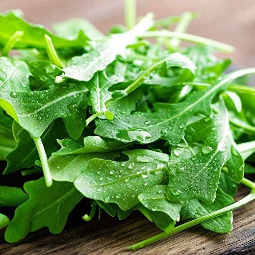 Rocket Cultivated Herb - Sprouting Rocket Cultivated Herb Seeds x 2000 ...