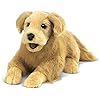 Amazon.com: Folkmanis Golden Retriever Puppy Hand Puppet: Toys & Games