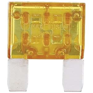 Amazon.com: American Terminal MAX-20 20 Amp Maxi Fuses: Car Electronics
