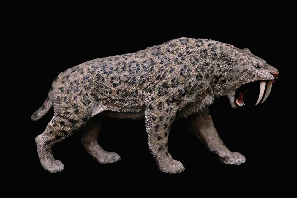 Mua XINPANYIAN Rebor Smilodon 1:11 Saber-Toothed Tiger Wild Animal ...