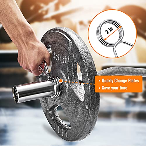 VIGBODY Curl Bar Weight Lifting Bar, EZ Curl Bar with 2 Collars-Workout ...