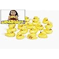 Amazon.com: Fun Express Duck Matching Game (Set of 20 Rubber Duckies ...