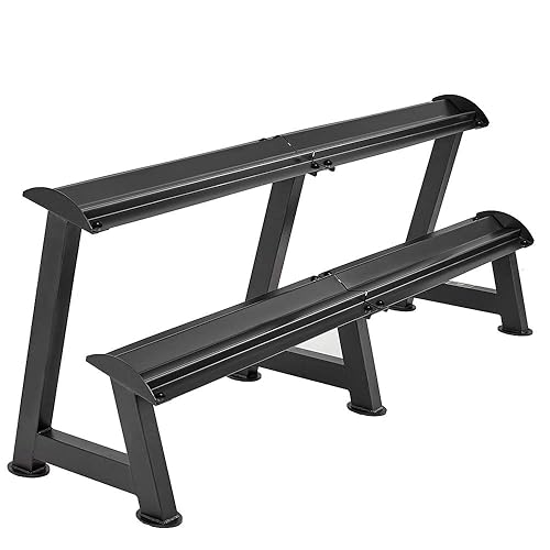 PAPABABE 2-Tier Dumbbell Rack Weight Storage Racks Weight Rack for Home ...