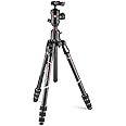 Amazon.com : Manfrotto Befree GT XPRO Carbon Fiber Travel Tripod with 496 Center Ball Head ...