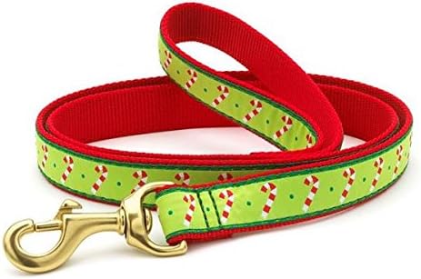 Up Country CAN-L-W Candy Cane Lead Wide (1 Inch) Dog Lead 400 g – BigaMart