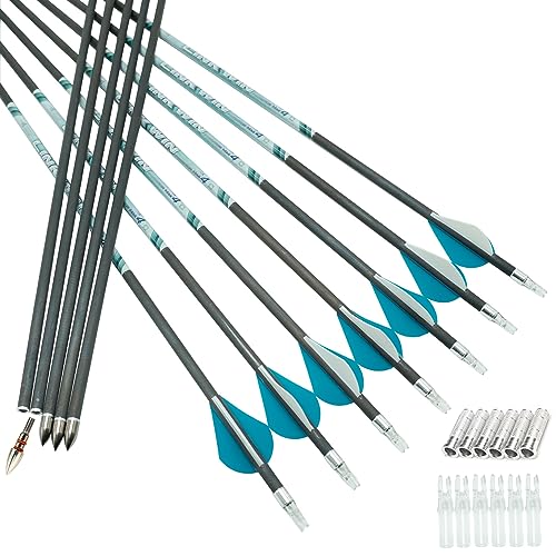Linkboy Archery 0.001 30inch Carbon Arrows 400 Spine Target Practice ...