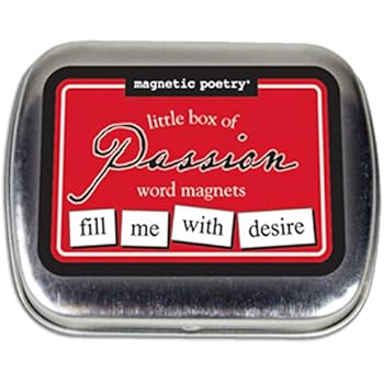 Amazon.com: Magnetic Poetry - Little Box of Happiness Kit - Words for ...