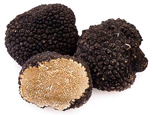 Black Truffle French, Perigord Truffle (Tuber melanosporum) French ...