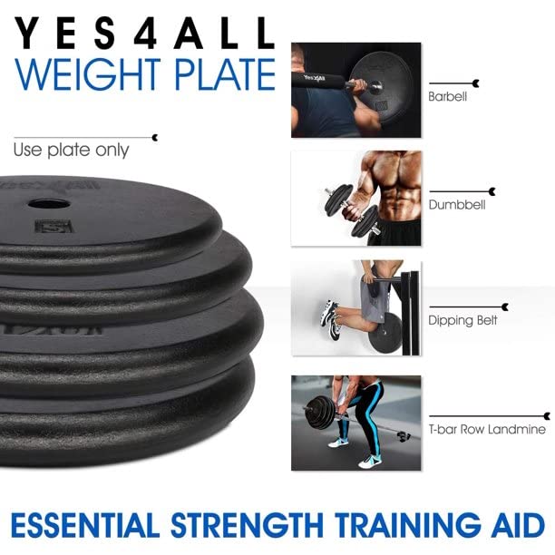 Yes4All 1-inch Cast Iron Weight Plates for Dumbbells – Standard Weight ...